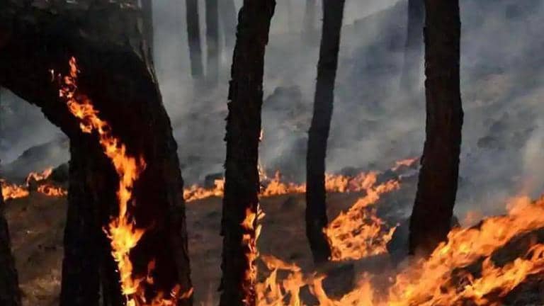 Forest fire triggers landmine blasts along LoC in J&K's Poonch ...