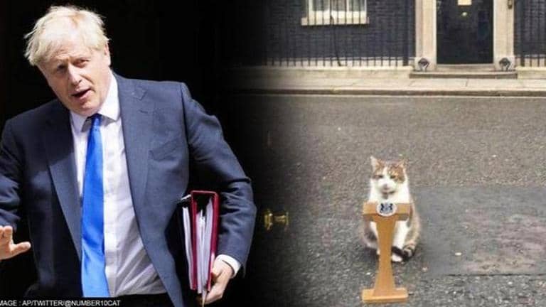 'Larry The Cat' declares it can 'no longer live with' PM Boris Johnson ...