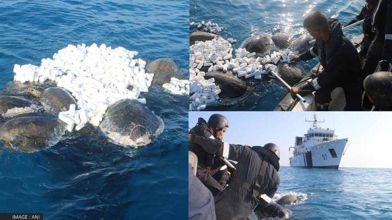 Coast Guard Vajra rescues 7 Olive Ridley turtles entangled in ghost net ...