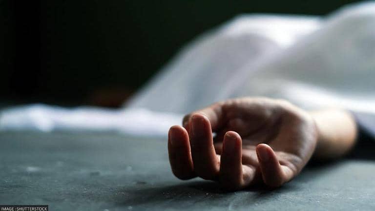 Delhi man kills live-in partner with hammer, arrested | Republic World