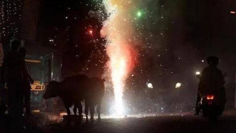 Diwali Countdown begins: All about Green crackers and ways to identify ...