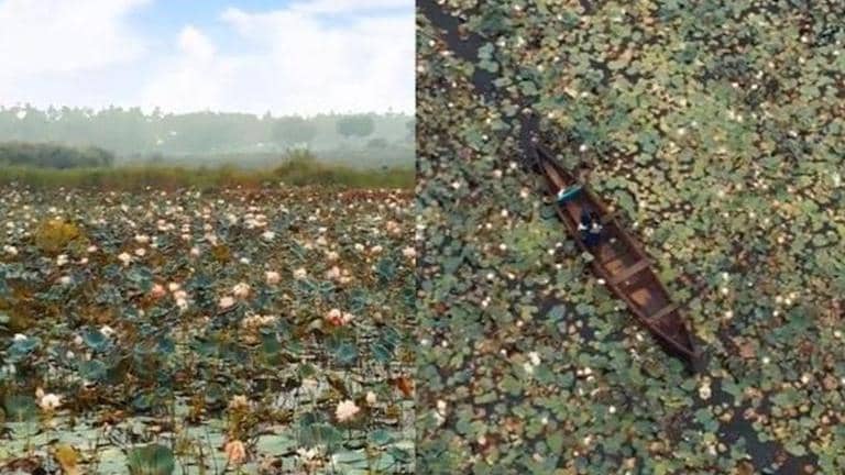Video showing mesmerising 360-degree view of Kerala lake captured on ...