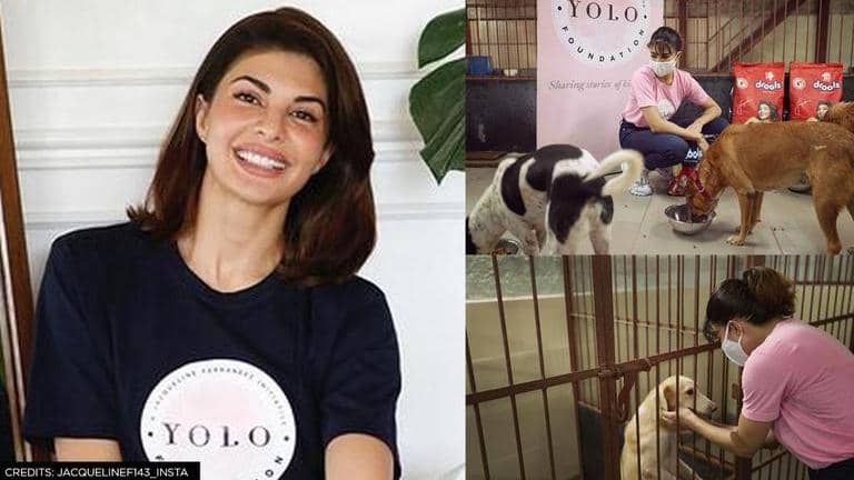 Jacqueline Fernandez's YOLO Foundation feed thousands of strays at animal shelter | Republic World