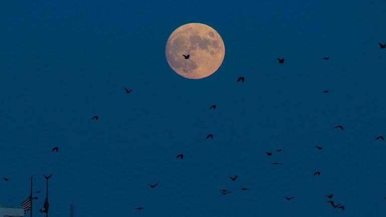 'Child Moon' to emerge at its fullest from Dec 17-19; Know the story ...