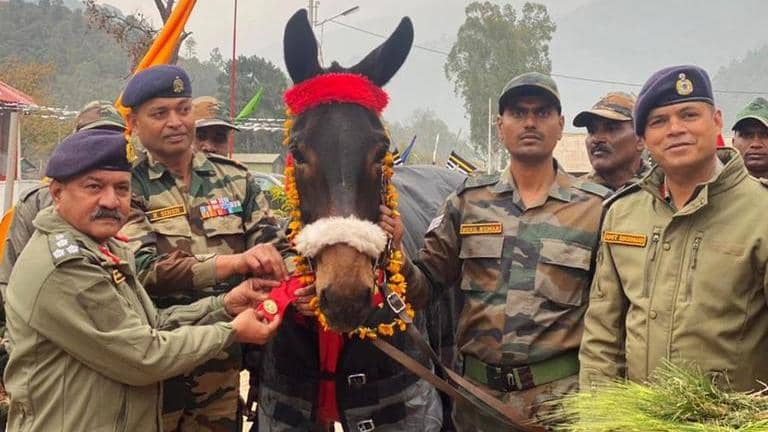 Incredible Army Mule awarded COAS Commendation Card on Army Day 2023 ...