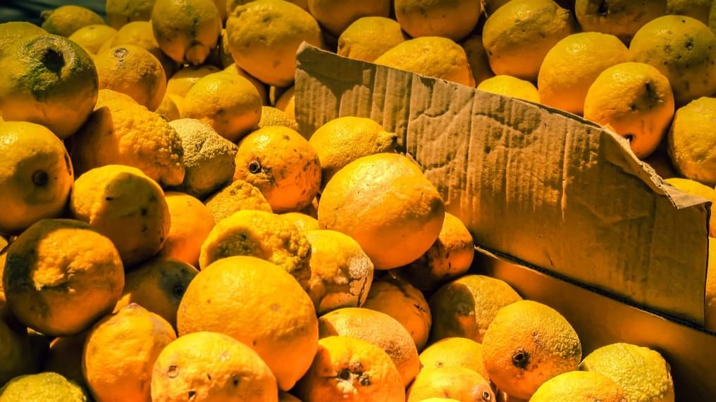 What Is Whole Lemon Snacking Trend And Why Is It Popular? | Republic World
