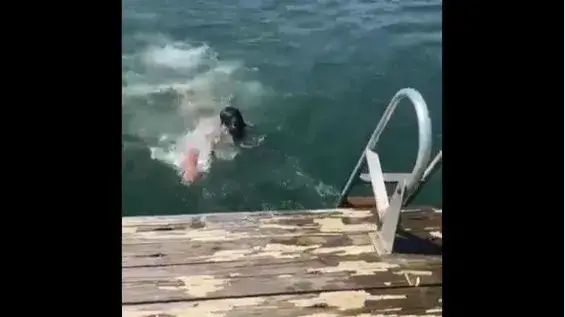VIRAL: Man jumps into lake for swimming and unable to return back to ...