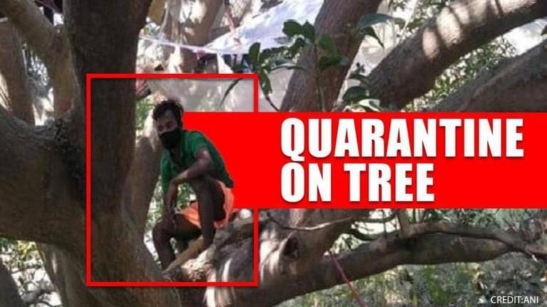 COVID-19: Villagers in West Bengal quarantine themselves on tree after ...