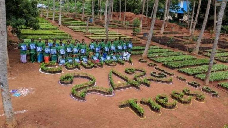 Rally For Rivers to plant 11 million saplings in 2020 under the Cauvery ...