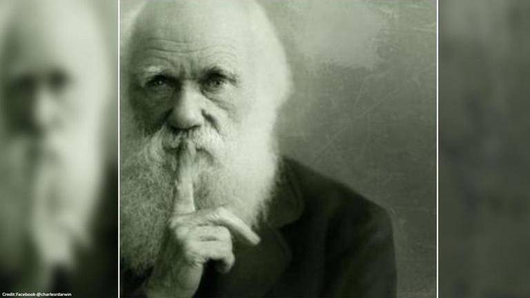 Scientists prove one of Darwin's theories of evolution 150 years after ...