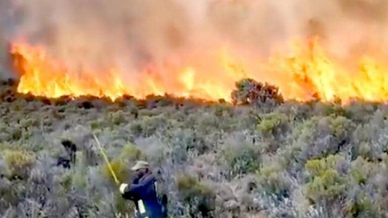 Mount Kilimanjaro fire under control, 'fire lit to warm food' may have ...