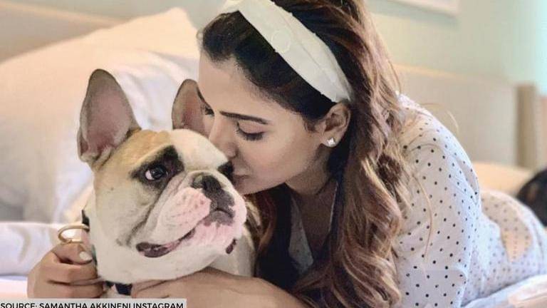 Samantha Akkineni shares adorable picture with pet dog Hash | Republic ...