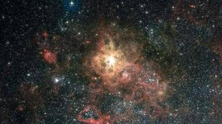 ESA shares riveting video of Tarantula Nebula made using James Webb ...