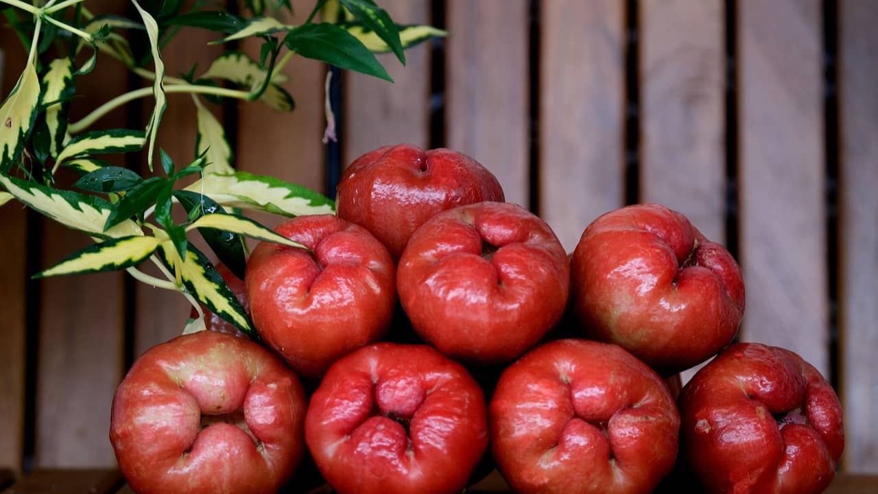 Zaam: A Must-Try Summer Fruit for Diabetics | Republic World