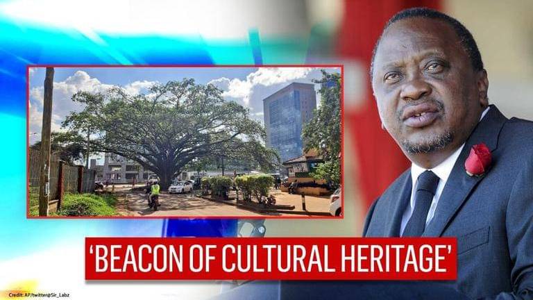 'Will be conserved': Kenya's President saves iconic fig tree from ...