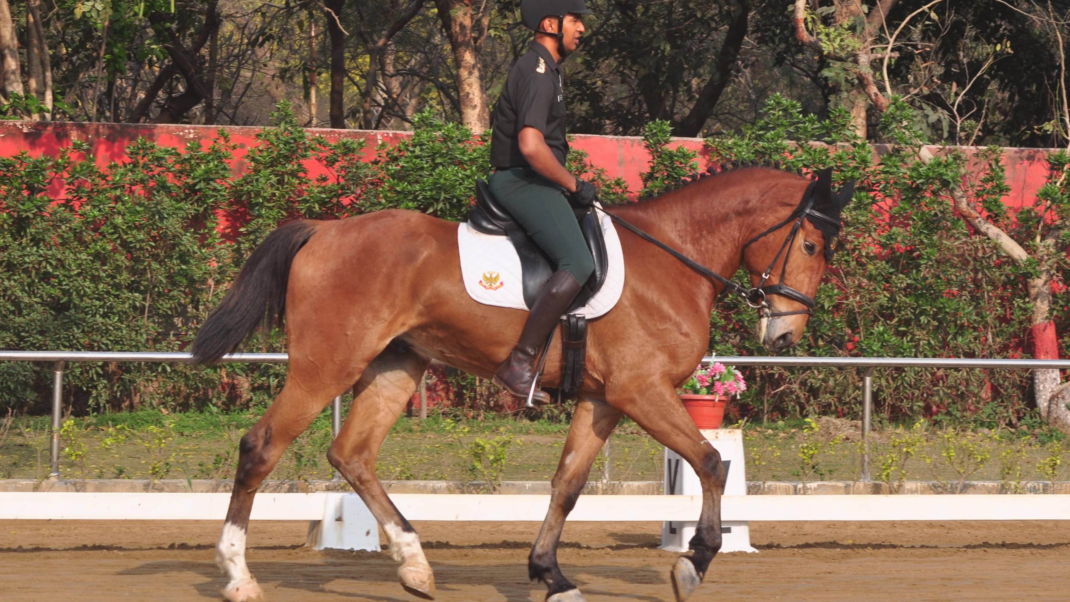 National Equestrian Championship Eventing from March 21 | Republic World
