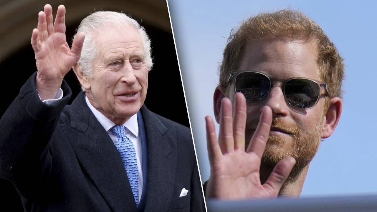 Prince Harry Fears Knife or Acid Attack on Meghan, King Charles May ...