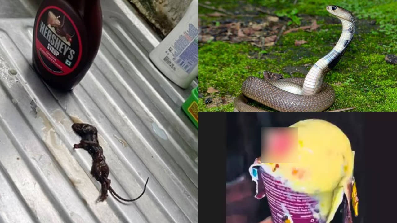 Finger, Mouse And Now Cobra In Your Order: Are Consumers Being Taken ...