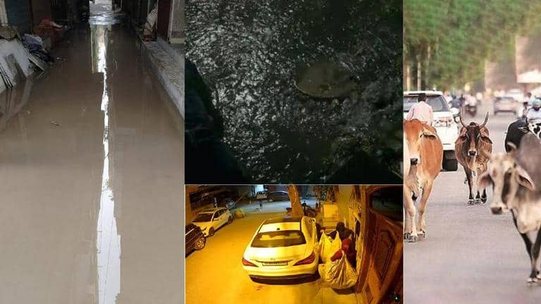 Nightmare on the streets in Delhi's Inderpuri: Sewage floods & Cow ...