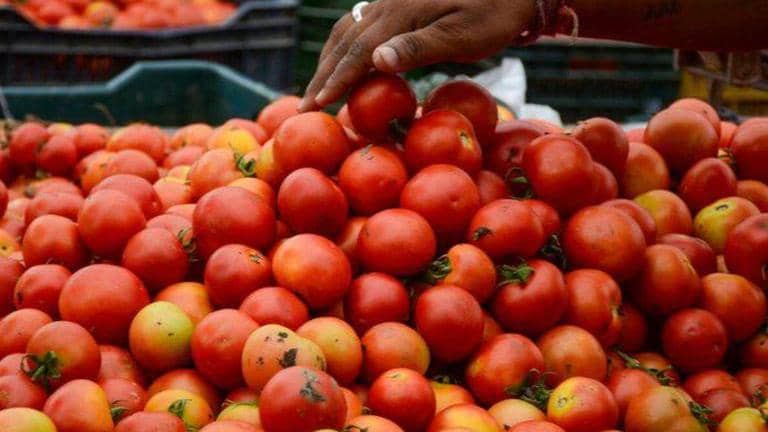 NCCF to sell tomatoes via mobile vans in Delhi-NCR at Rs 90/kg from Fri: Govt officials ...