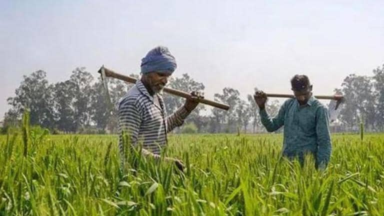 In Maharashtra's Latur, 15 clusters of farmers to carry out organic ...