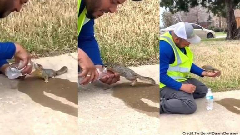 Man helps squirrel to drink water from bottle, watch the adorable video ...