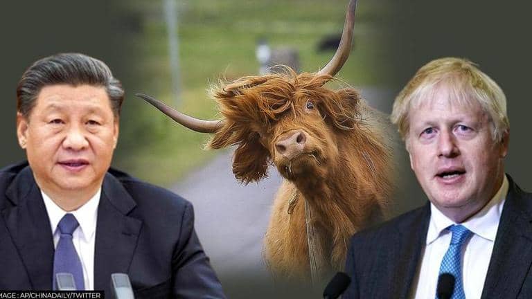 China's state media trolls Boris Johnson; shares picture of Cow ...