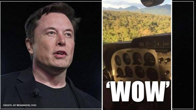Adventurous video shows pilot landing plane amid dense forest, Elon ...