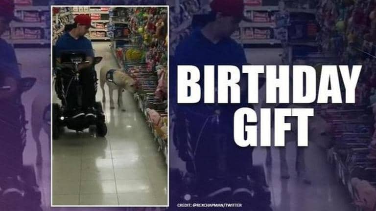 Video of service dog choosing toy for its birthday wins the Internet ...