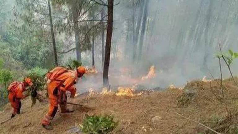 NDRF to begin maiden forest fires tackling training for its personnel ...