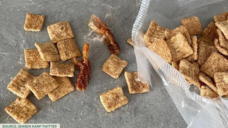 Cinnamon Toast Crunch Shrimp goes viral as writer finds shrimp tails in ...