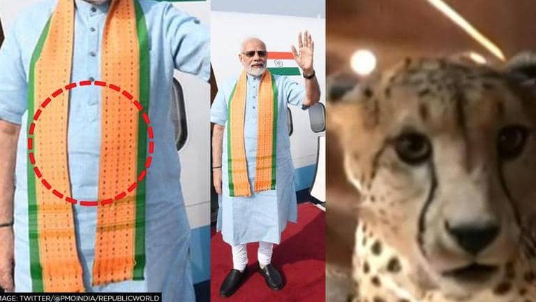 PM Modi dons stole similar to patterns on cheetah; releases big cats in ...